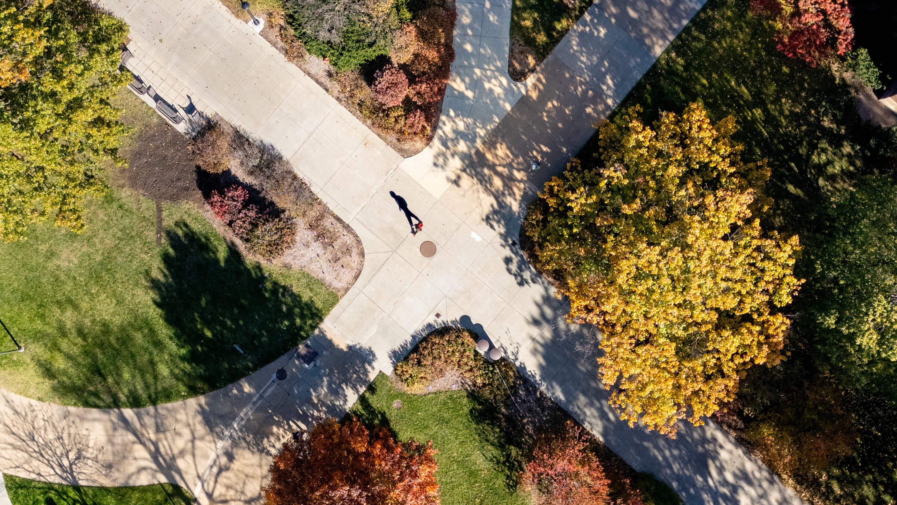 Web Developer Network | Nebraska