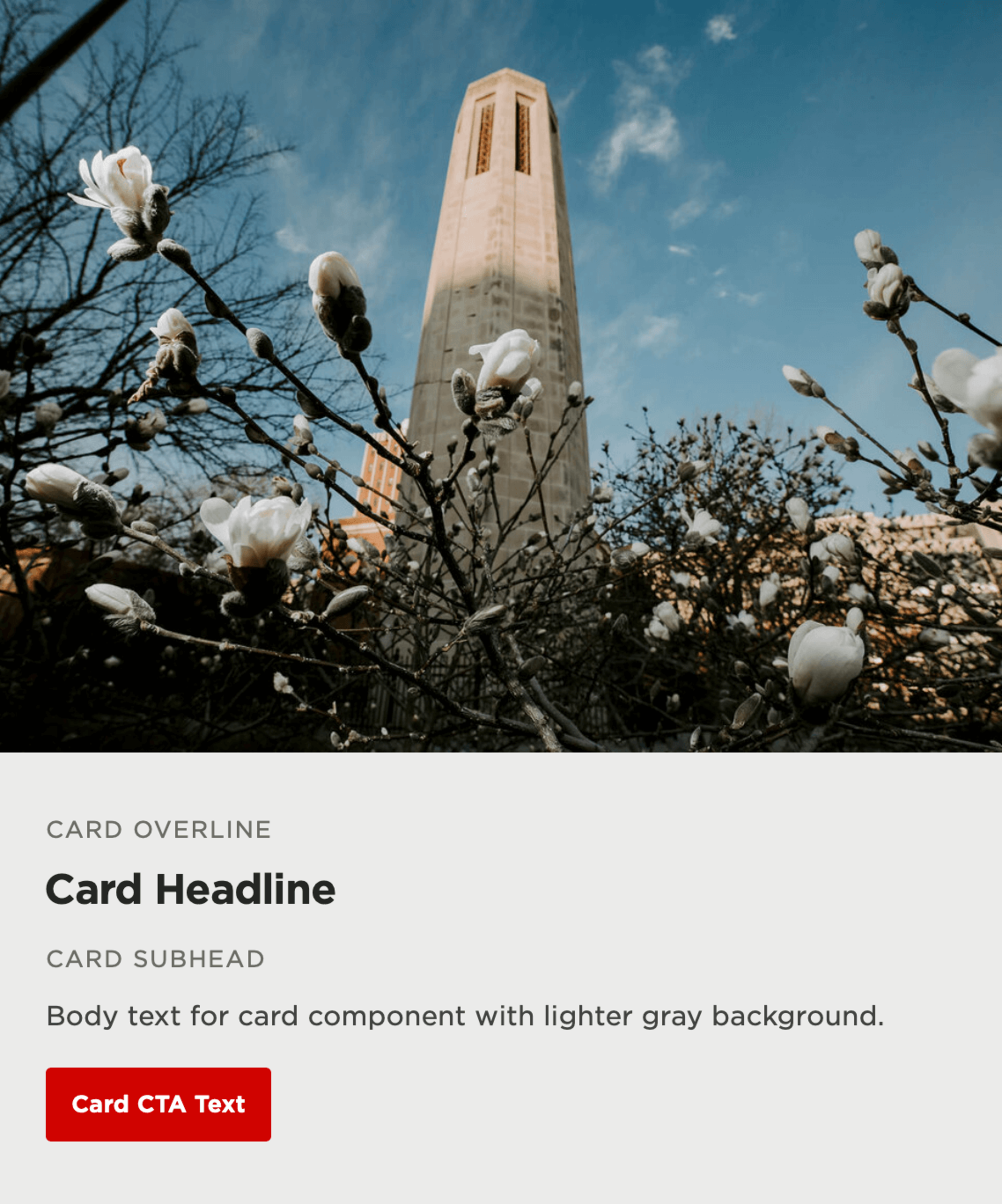 Card | Web Developer Network | Nebraska