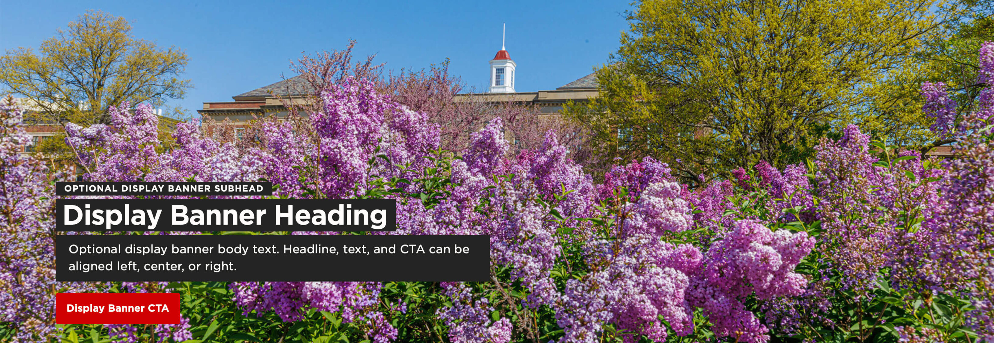 Display Banner | Web Developer Network | Nebraska